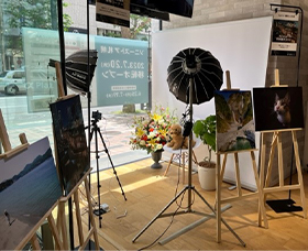Xperia新商品体験「Touch ＆ Try」イベント開催中 展示体験ブースの写真や会場の様子をご紹介します！ | ソニー