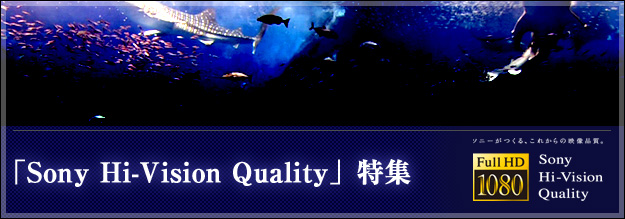 ソニー製品情報 ｜ ソニードライブニュースメール ｜ バックナンバー