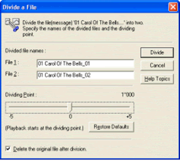 Overseas Model Customer Support